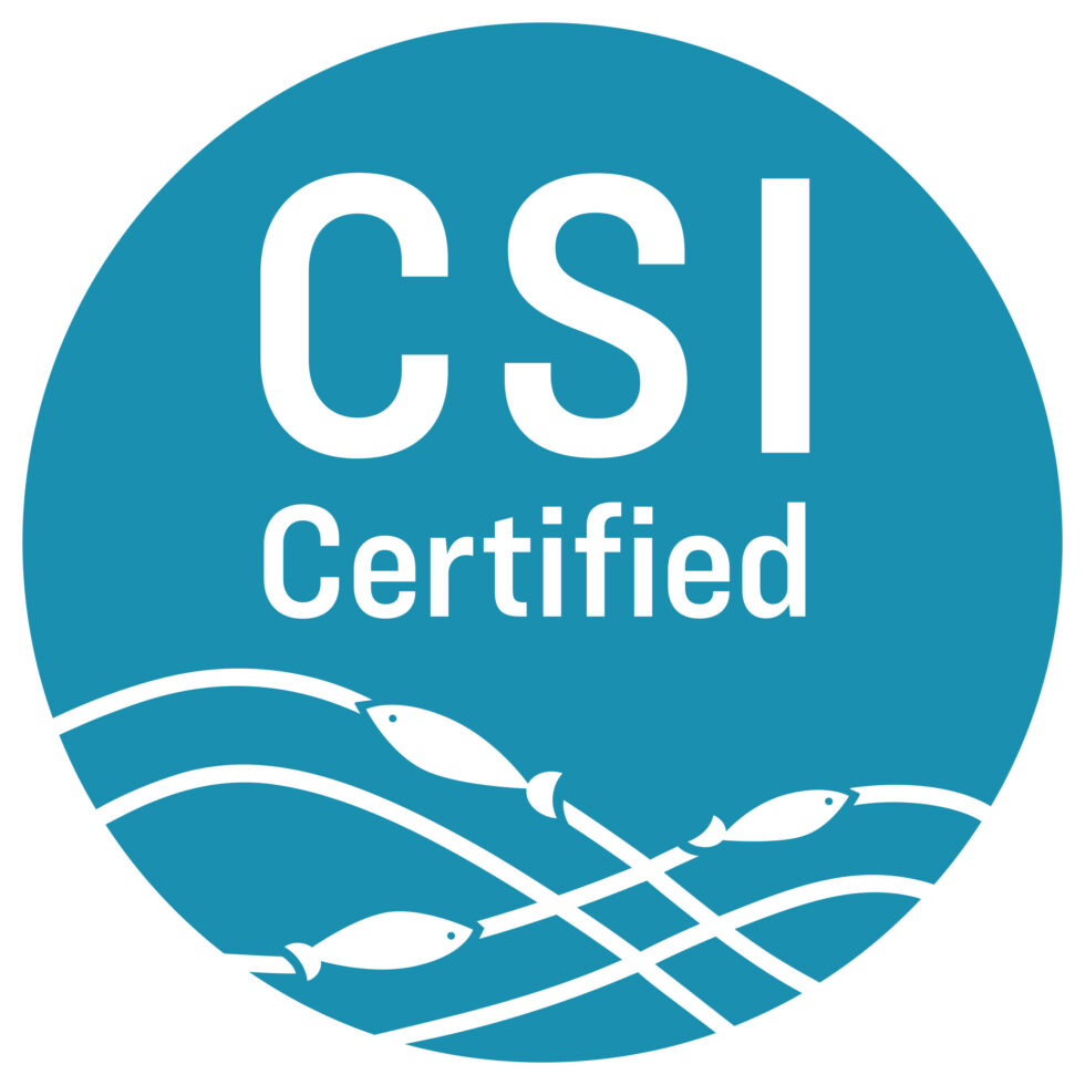 CSC RFM - GSSI